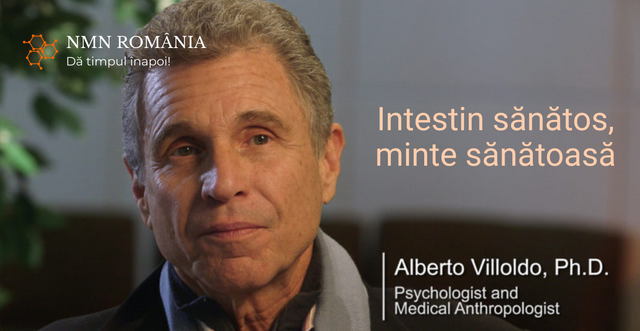 Cum îți influențează intestinul starea mentală: Protocolul Villoldo ...